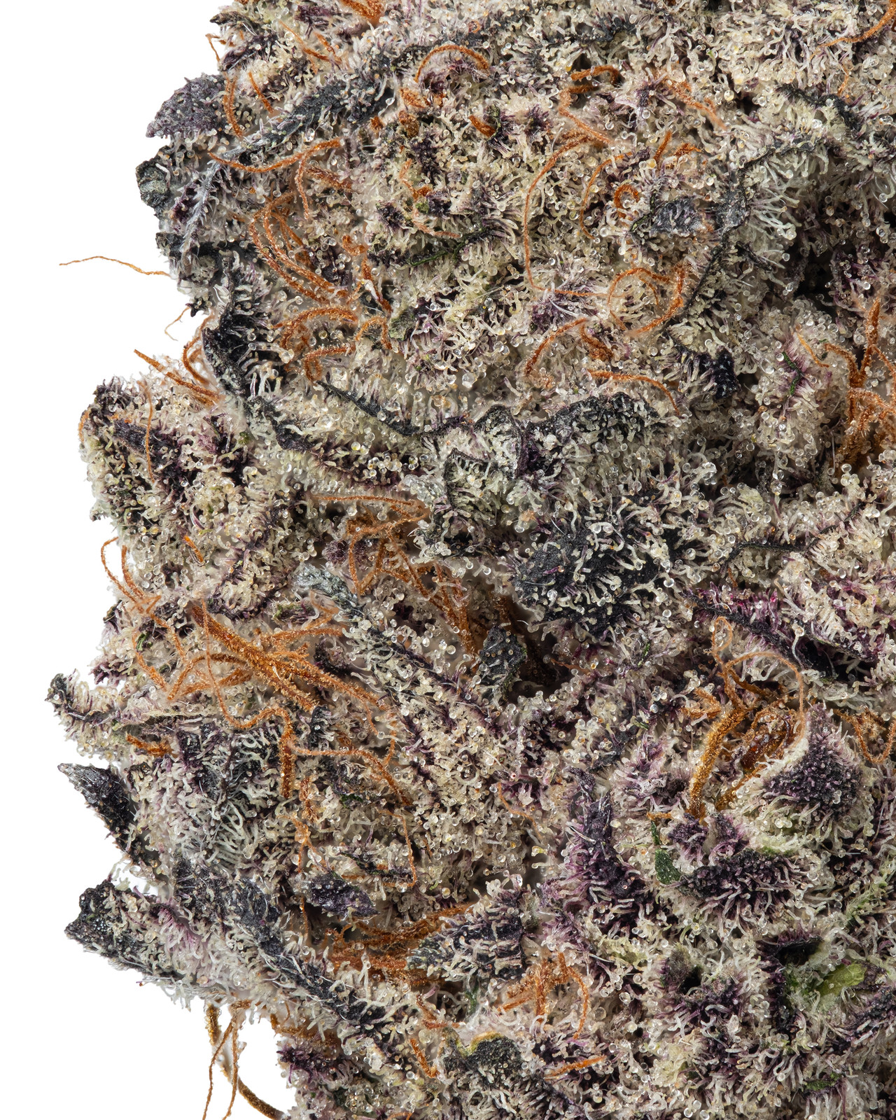 THCa Dragon – Indoor Hybrid | WNC CBD