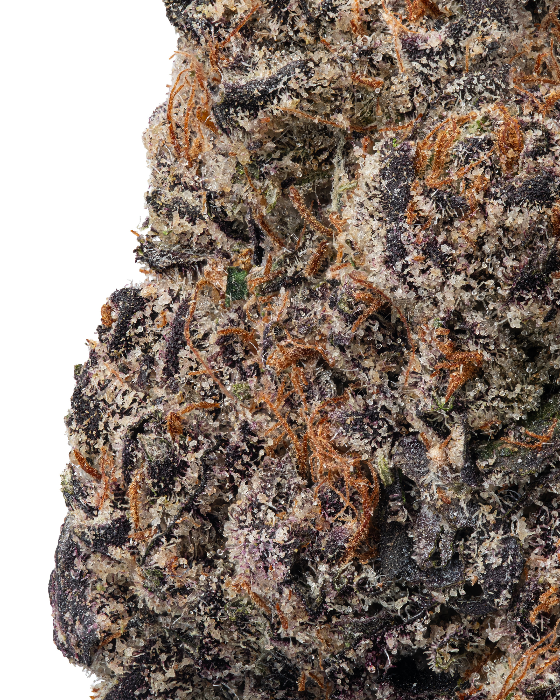 THCa Gelato 47 – Indoor Hybrid | WNC CBD