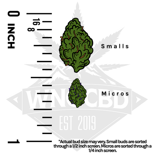 THCa Purple Ghost Candy Indoor Hydro – Potent Sativa Flower | WNC CBD