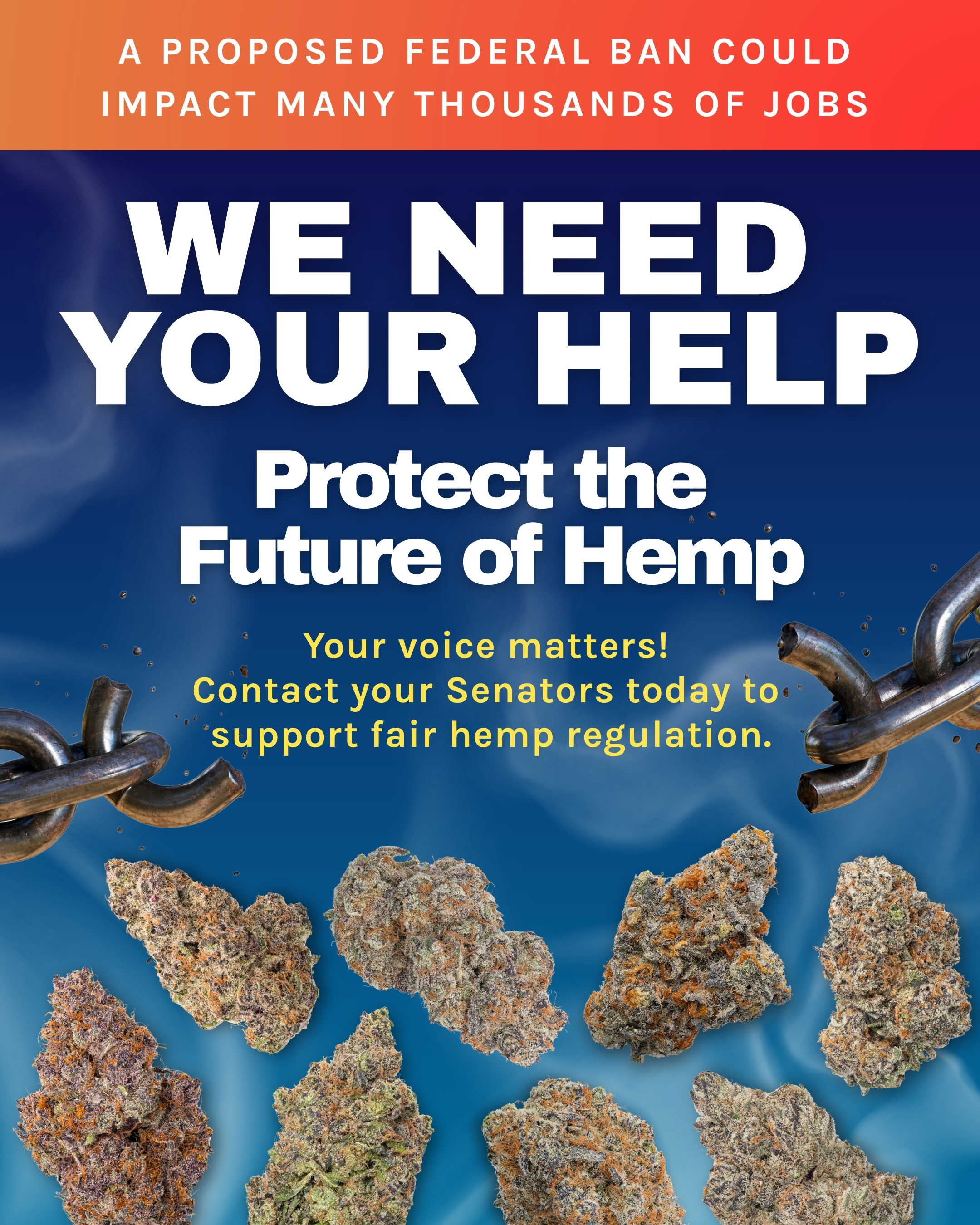 What You Need To Know About The Hemp Ban & How You Can Help - WNC CBD