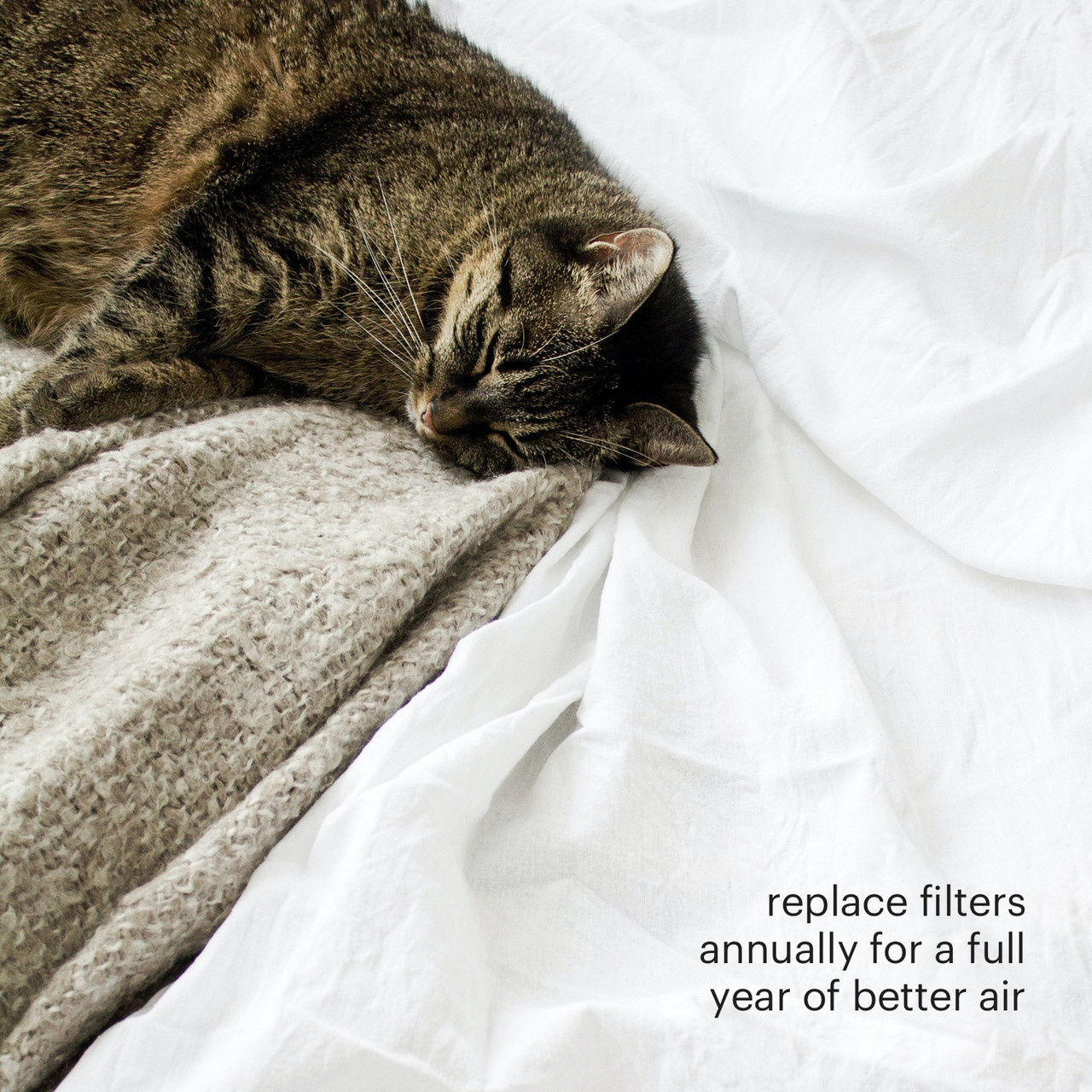 Air Purifier Filter Replacement | Brondell