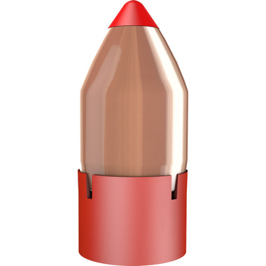 Hornady Bore Driver Muzzleloader Bullet 50 cal. 290 gr. Bore Driver FTX ...
