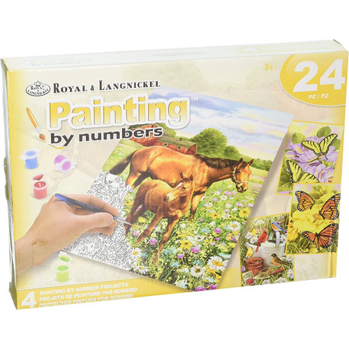 Paint By Numbers Jr Sm Fields Box Set 4 Piece