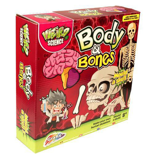 Grafix Weird Science Body And Bones Make Your Own Human Skeleton