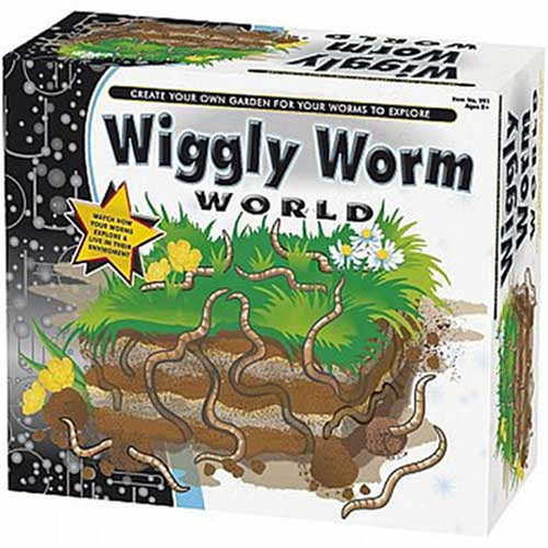 Tarema Wiggly Worm World