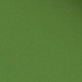 Vivid Permanent Paper - Green 8 1/2" x 11" 5 Mil 50 per box - Custom ...
