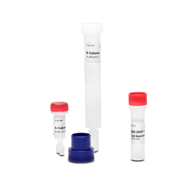 SNAP-Tag® Labeling Kit RED 2nd Generation - NanoTemper Technologies Inc.