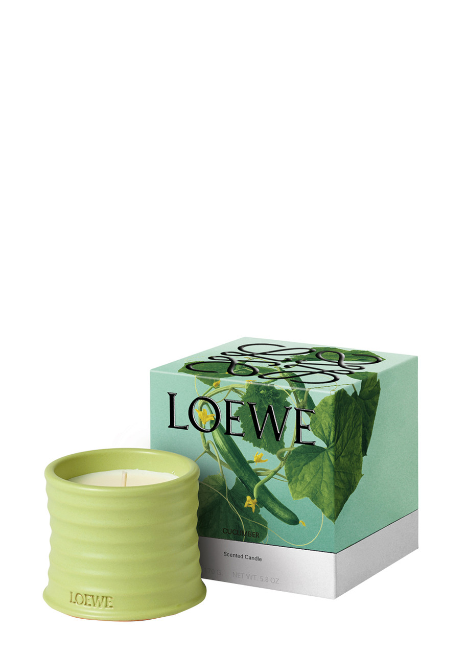 LOEWE Cucumber Candle - Small 170g | Harvey Nichols