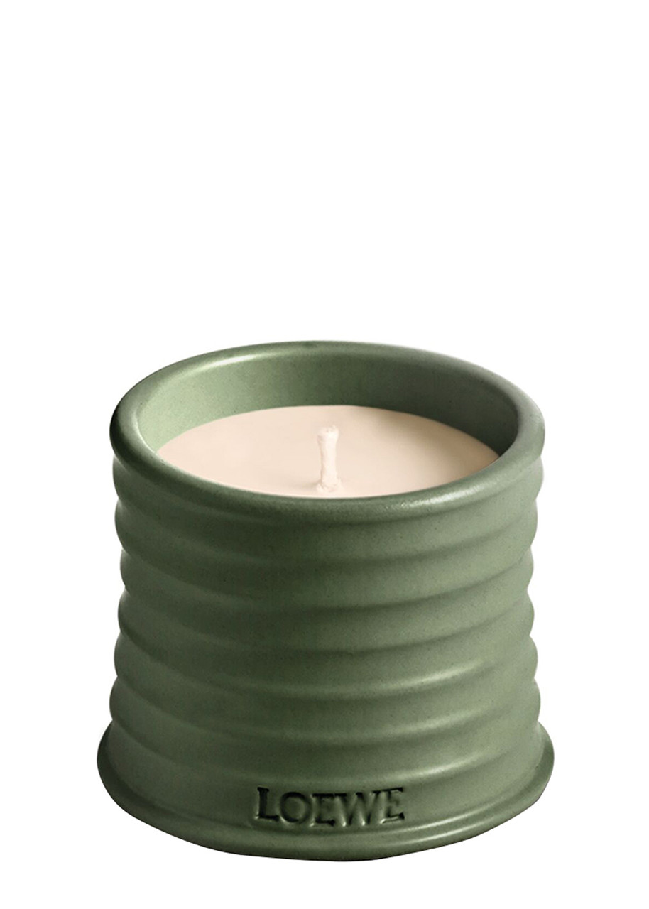LOEWE Marihuana Candle - Small 170g | Harvey Nichols