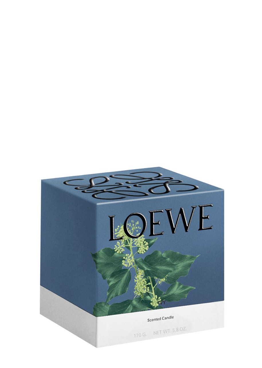 LOEWE Ivy Candle - Small 170g | Harvey Nichols