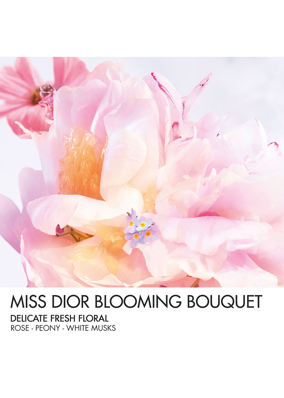 DIOR Miss Dior Blooming Bouquet Mini Miss Solid Perfume | Harvey Nichols