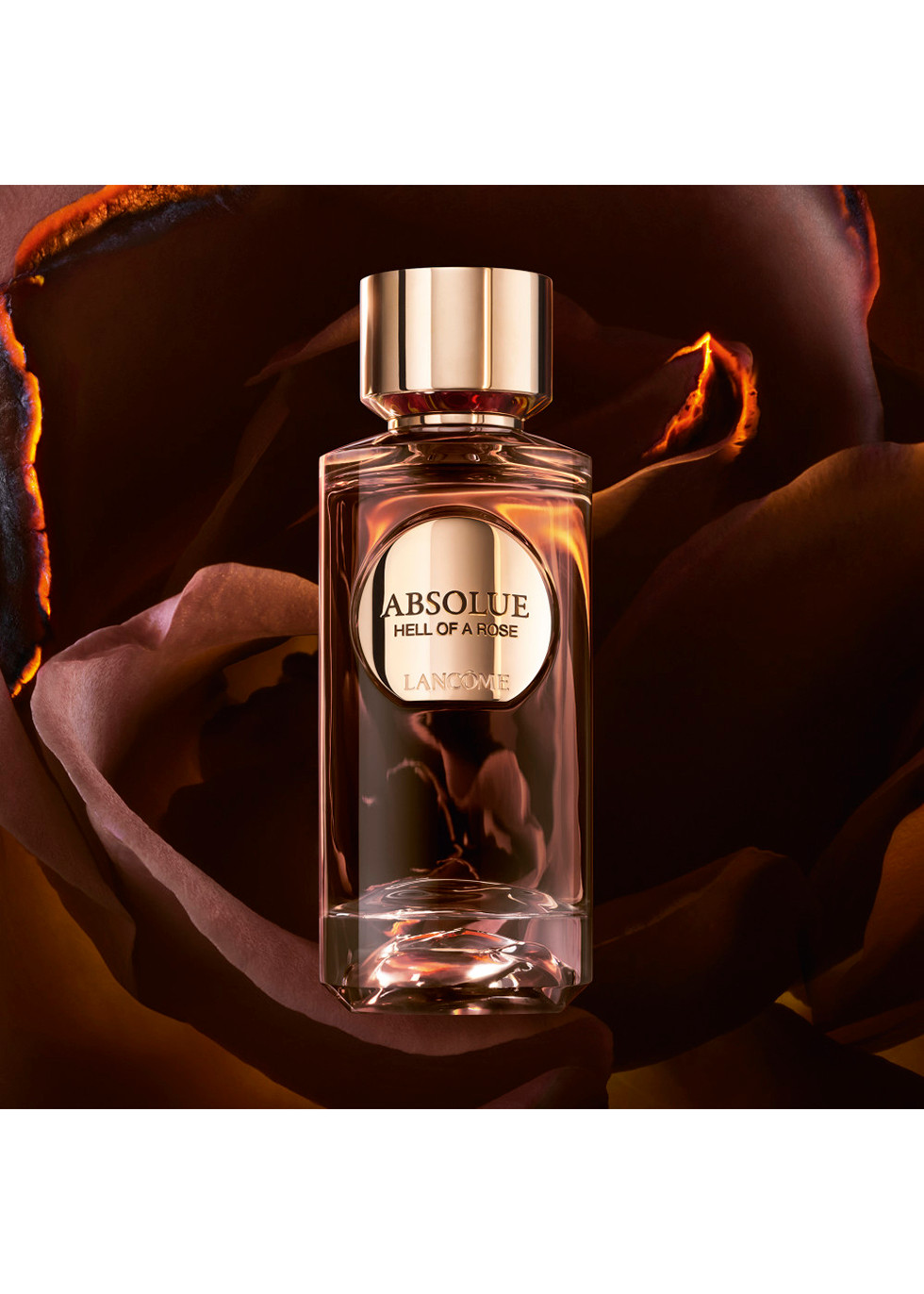 LANCÔME Absolue Les Parfums HELL OF A ROSE Eau de Parfum 100ml | Harvey ...