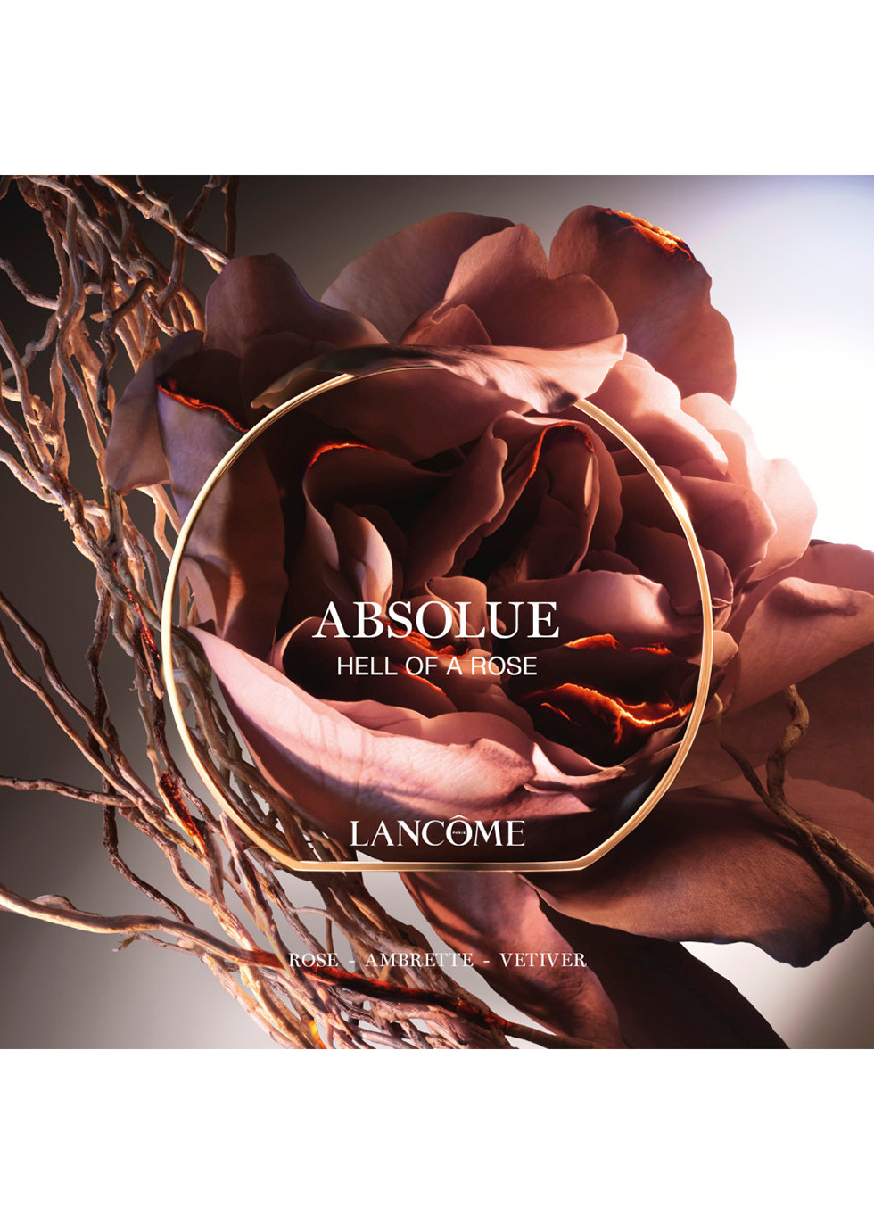 LANCÔME Absolue Les Parfums HELL OF A ROSE Eau de Parfum 100ml | Harvey ...