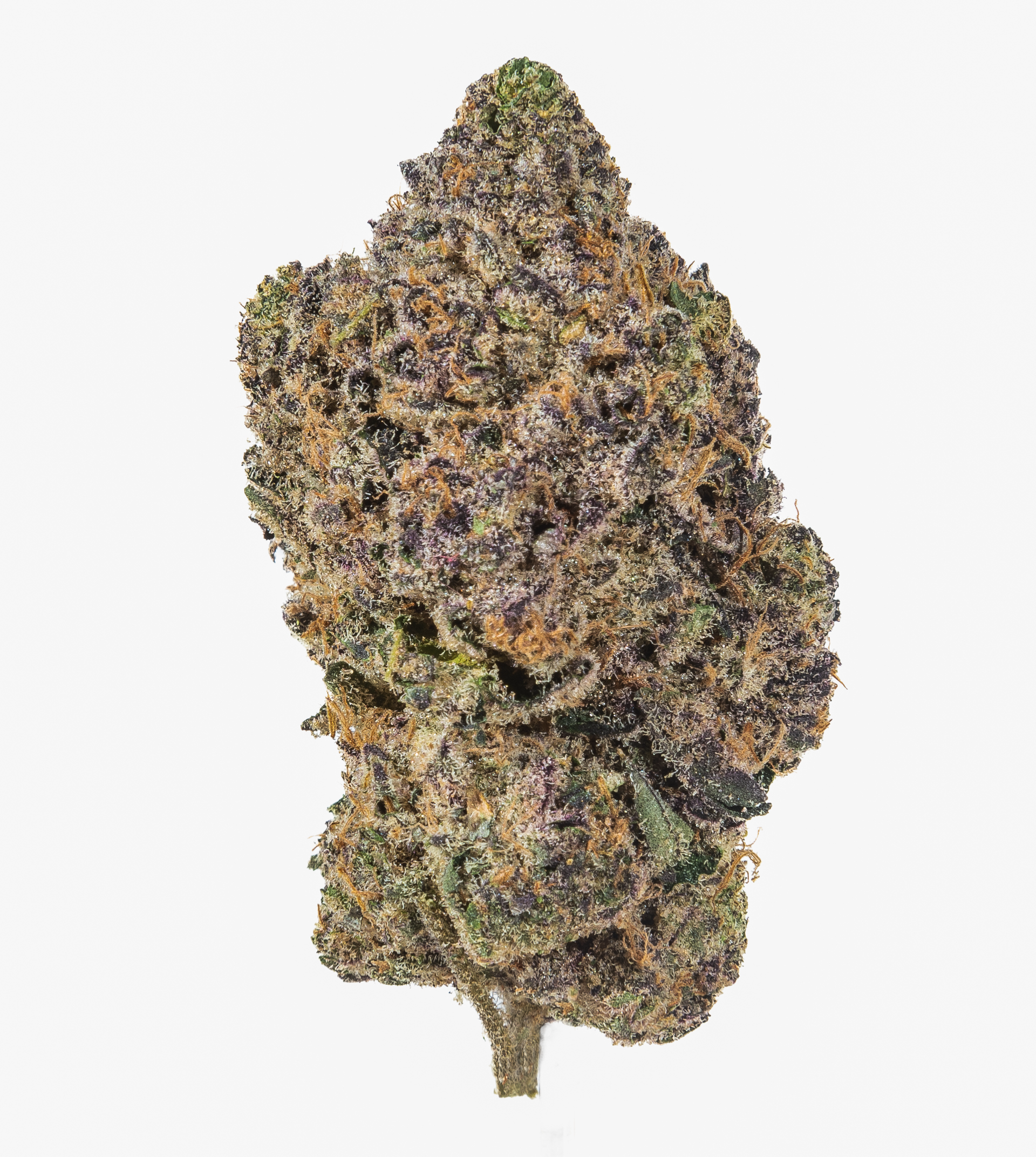 Cap Junky THCA Flower 33.84% | Alien Cookies x Kush Mints