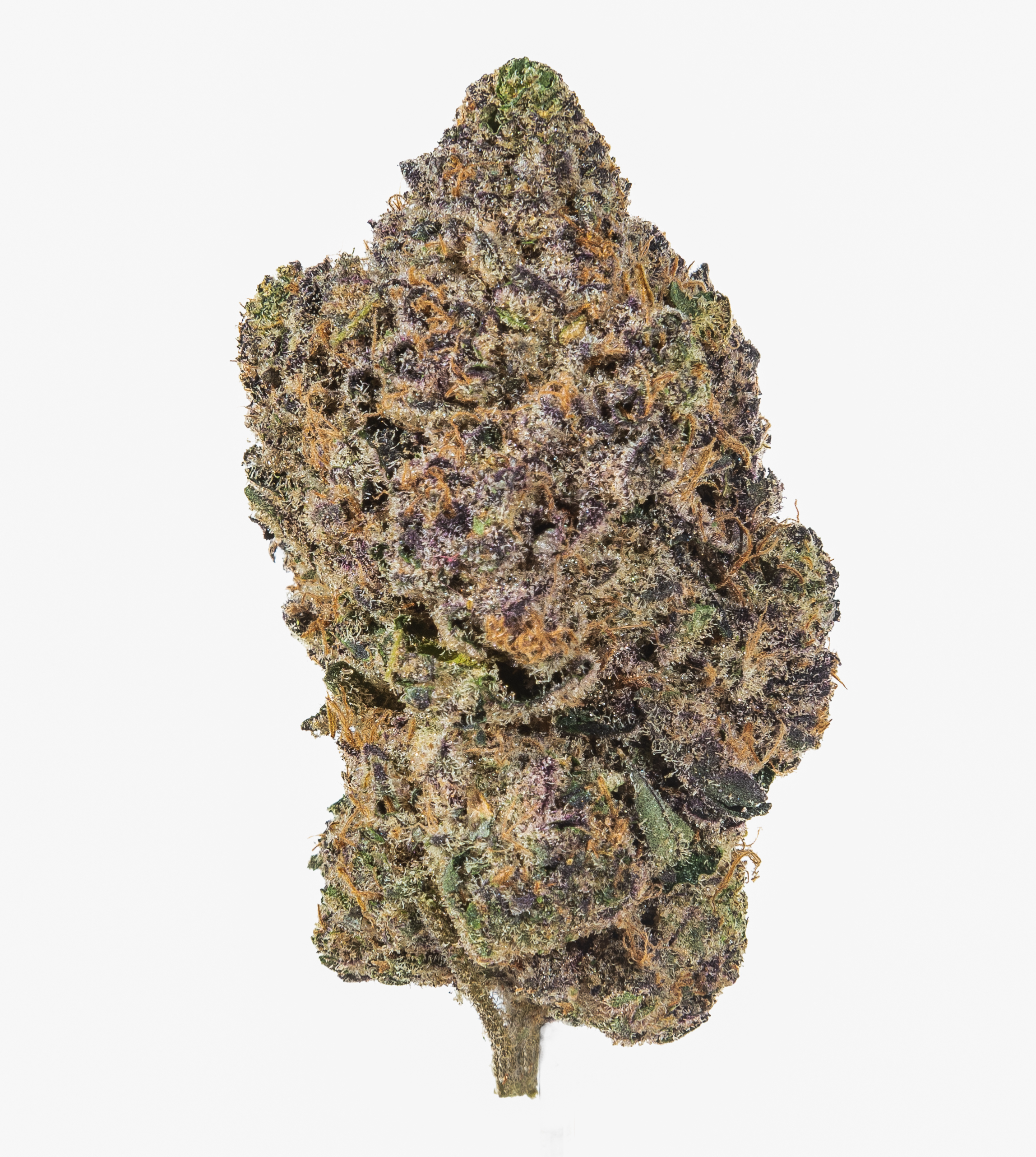 Cap Junky THCA Flower 33.84% | Alien Cookies x Kush Mints