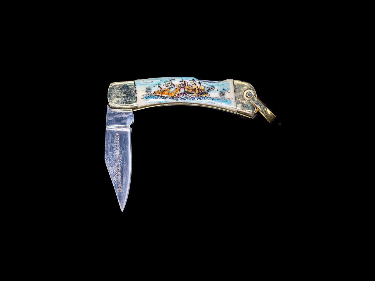 Etched Octopus and Ship Colored Design Scrimshaw Collection Small ...