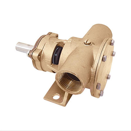 Jabsco pump bronze 1" BSP