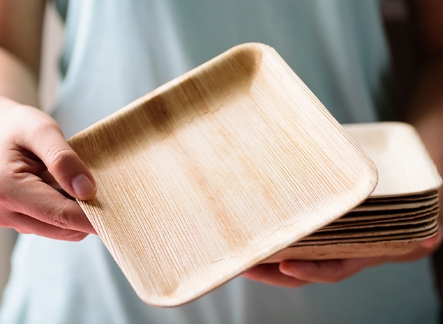 Disposable Palm Leaf Plates: An Eco-Friendly Alternative to Plastic and ...