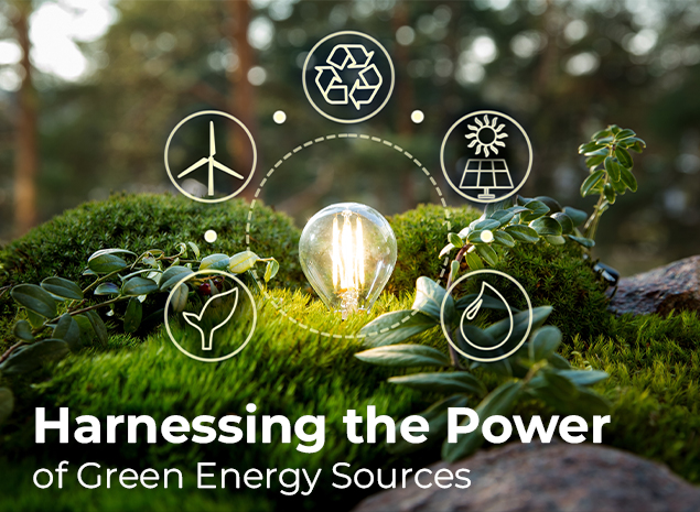 Harnessing the Power of Green Energy Sources - Planet Pantry