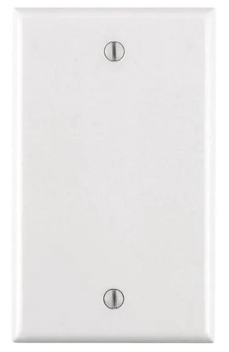 Blank Wall Plate, 1 Gang - Activate Learning Store
