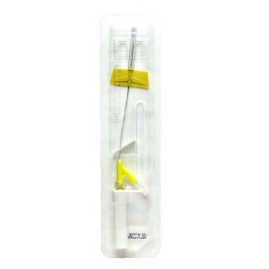 Saf-T Intima IV Catheter 24Gx19mm | Biofast
