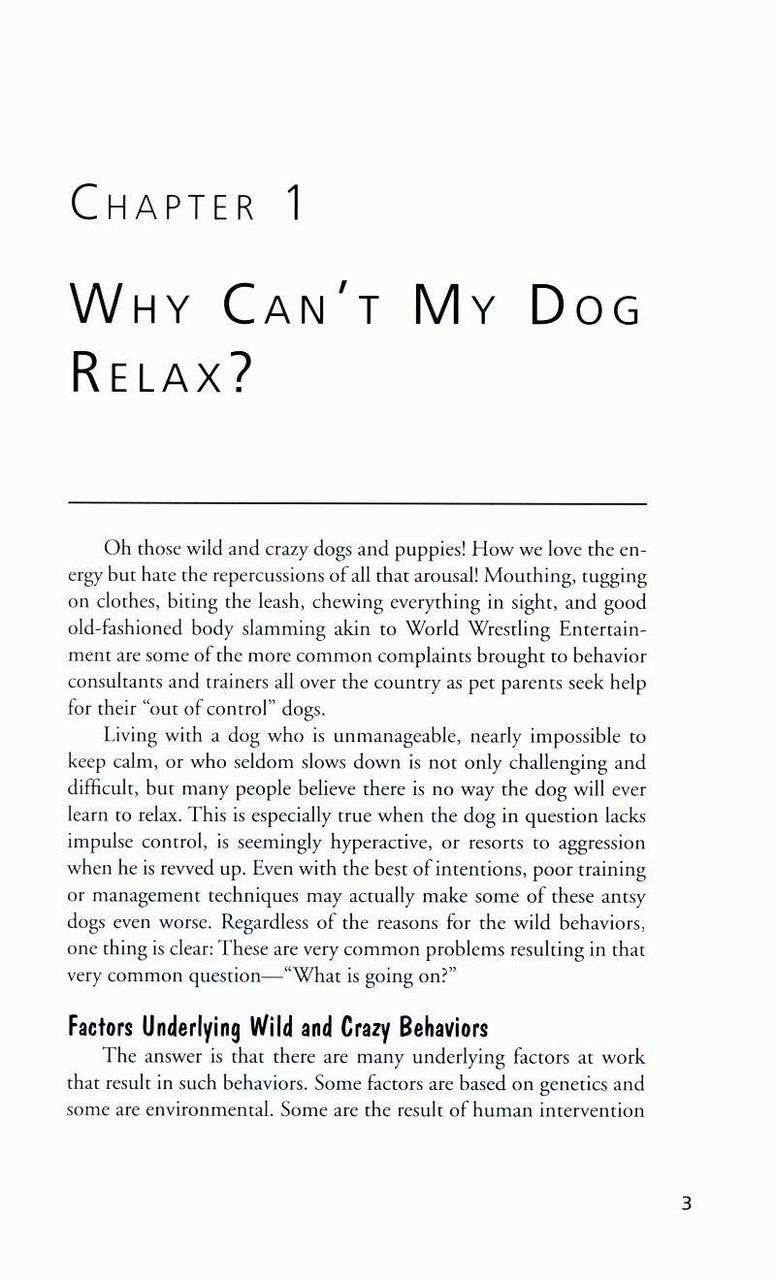Chill Out Fido! - How To Calm Your Dog - Dogwise