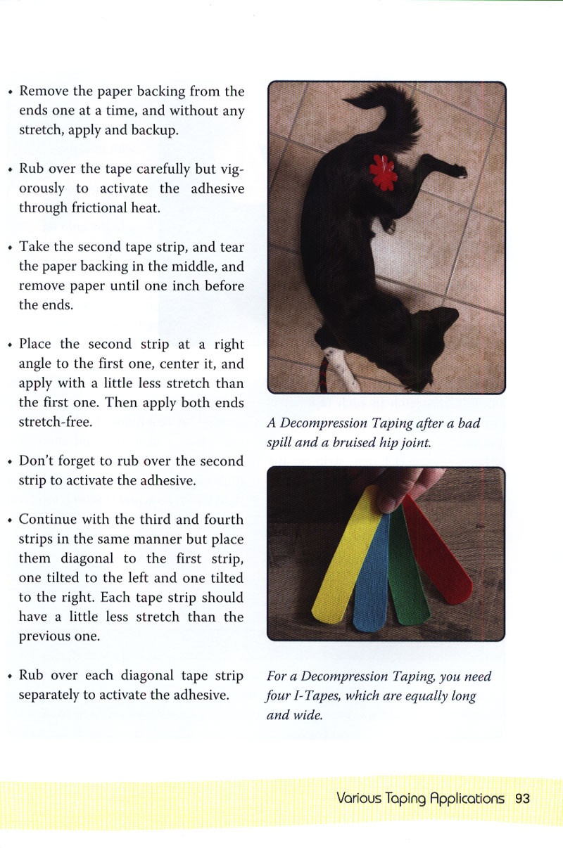 Kinesiology Taping for Dogs: The Complete Guide to Taping for Canine ...