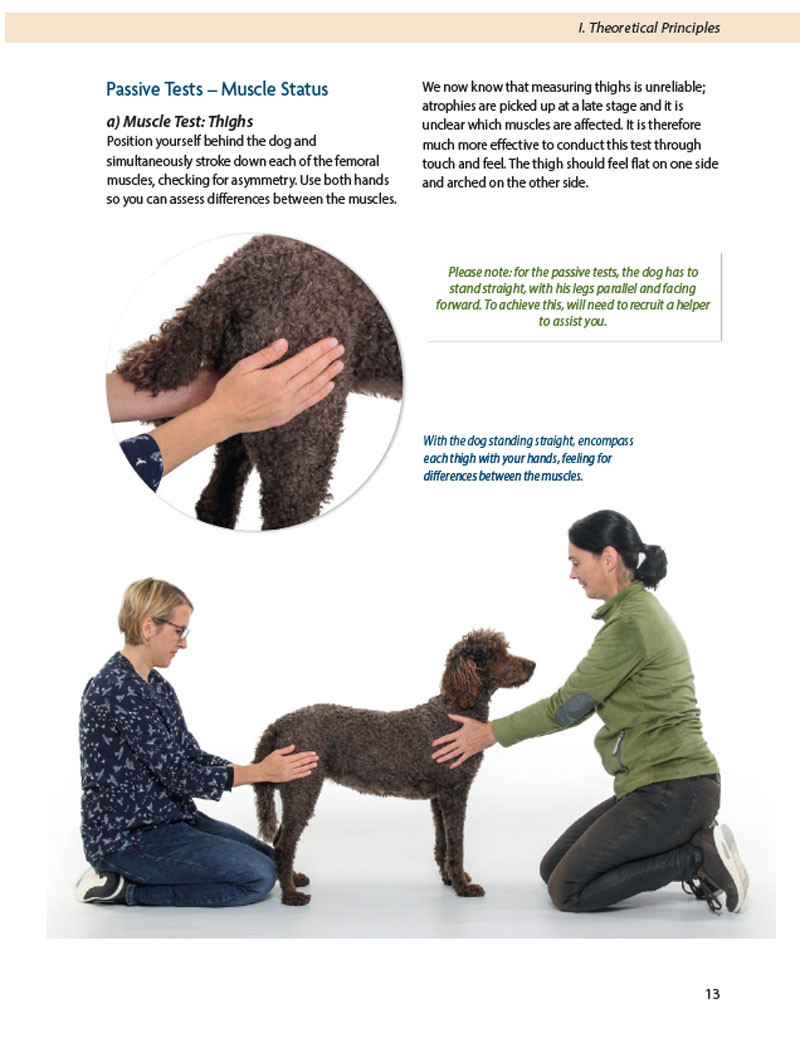 The Workout Book for Dogs - A Complete Guide to Canine Fitness