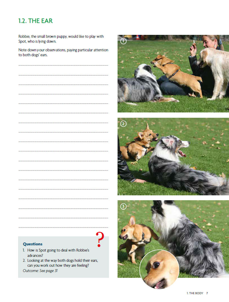 Dogs in Translation – A Unique Journey of Observation and Interpretation