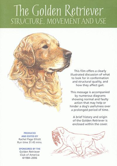 The Golden Retriever - Structure, Movement and Use Dvd - Dogwise