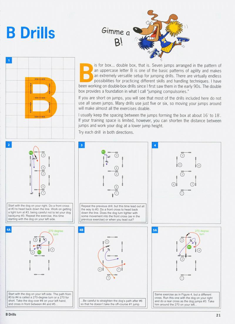 Alphabet Drills Book (Shopworn) - Dogwise