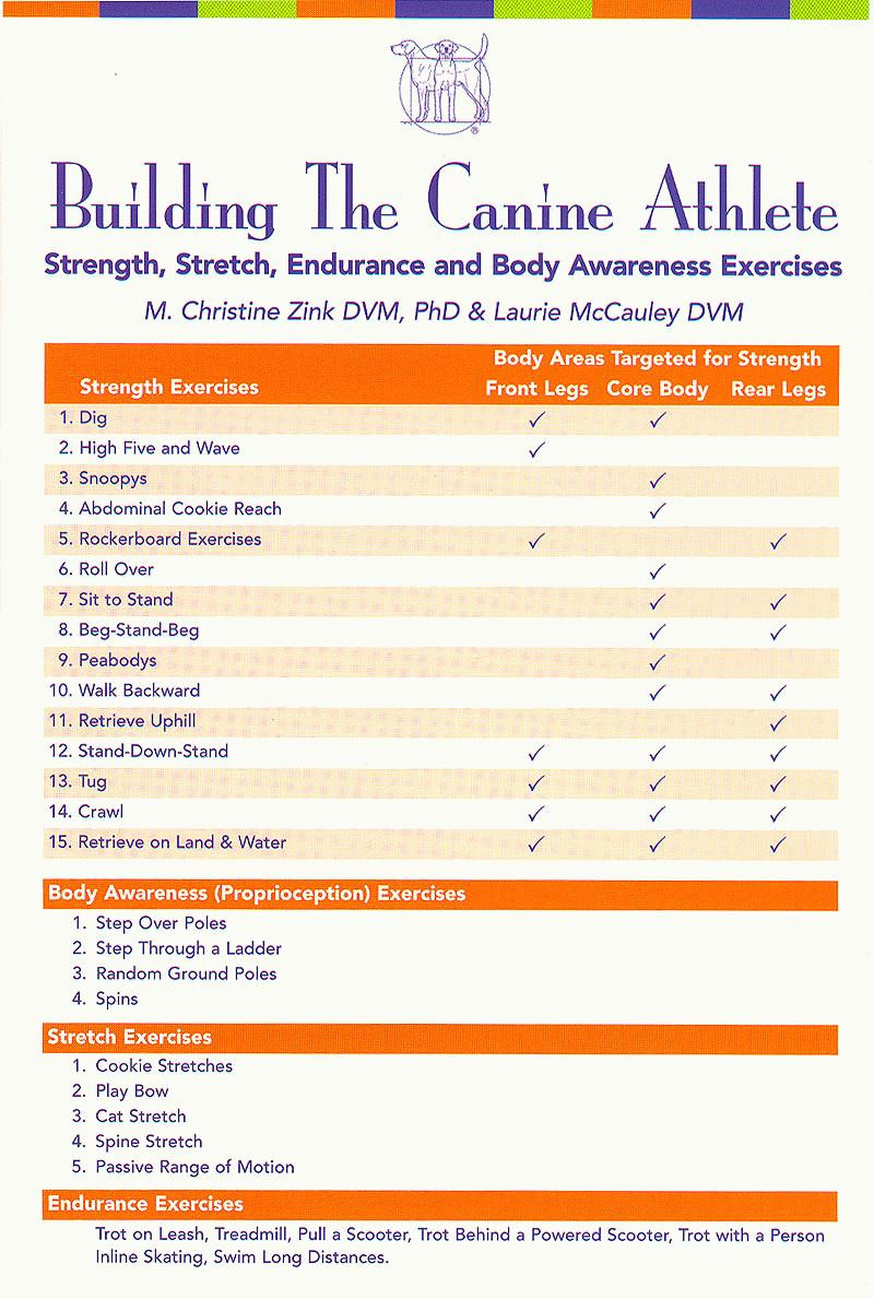 Building The Canine Athlete - Strength, Stretch, Endurance & Body ...