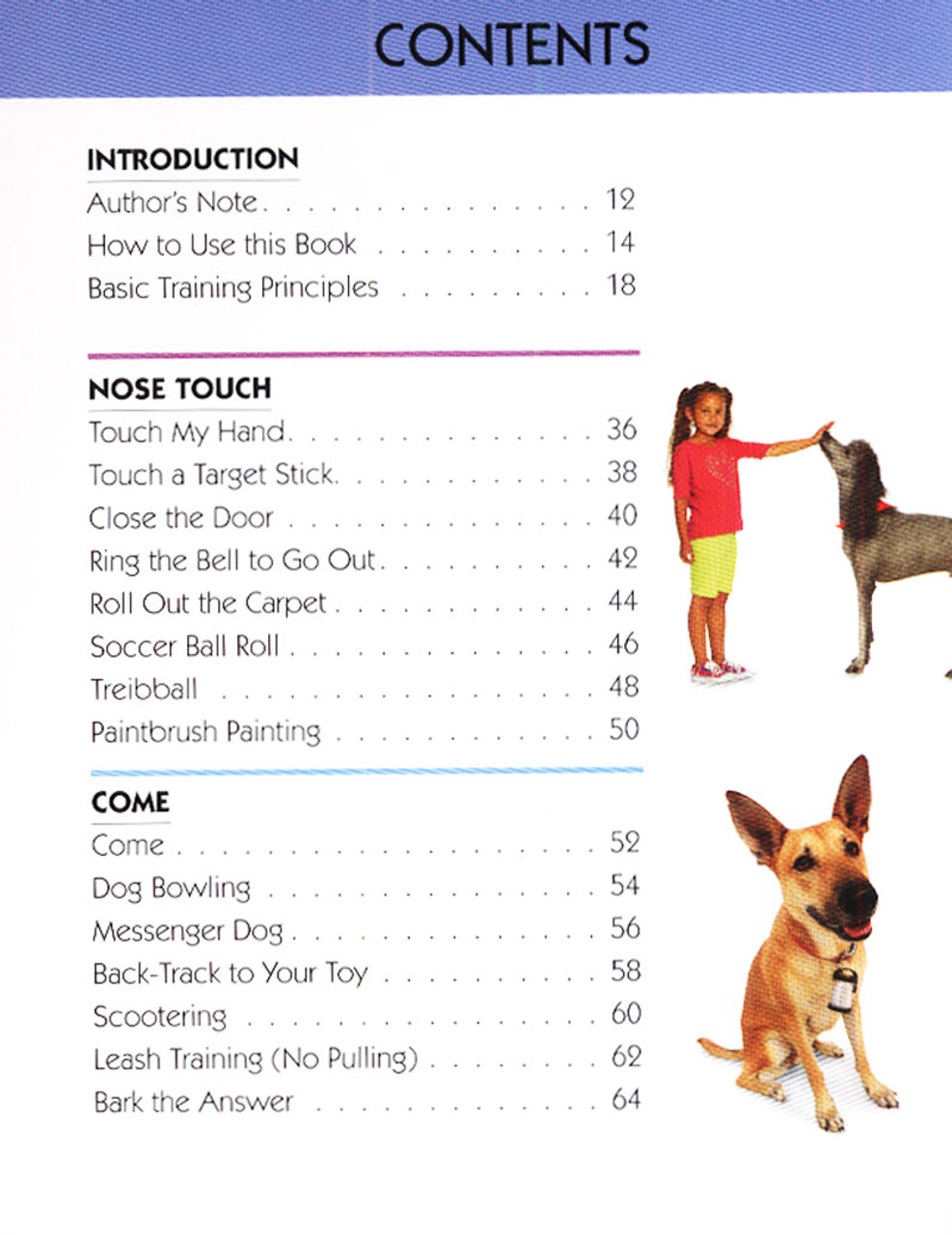The Pocket Guide To Dog Tricks 101 Activities To Engage Challenge the-pocket-guide-to-dog-tricks-101-activities-to-engage-challenge