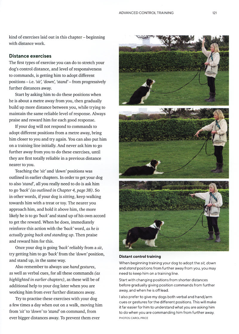 Border Collies A Breed Apart Book Two: Essential Life Skills & Learning ...