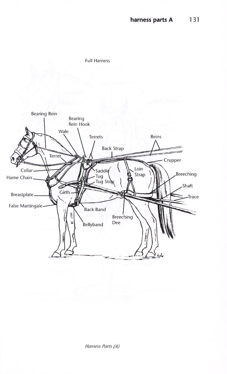 Illustrated Dictionary of Equine Terms - Dogwise