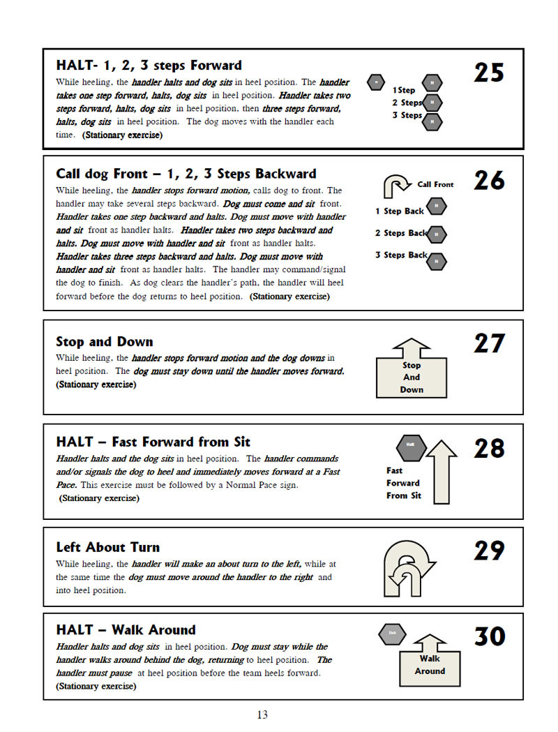The Rally Course Book - AKC Novice Through Master - Dogwise
