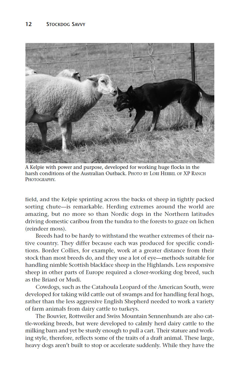 Stockdog Savvy - Dogwise