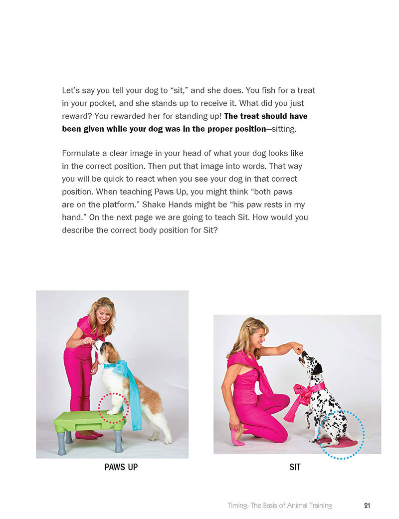 The Joy of Dog Training: 30 Fun, No-Fail Lessons to Raise and Train a ...