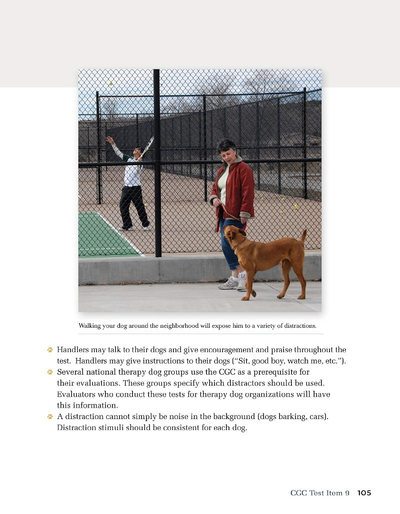 How Old Does A Dog Have To Be To Take The Cgc Test