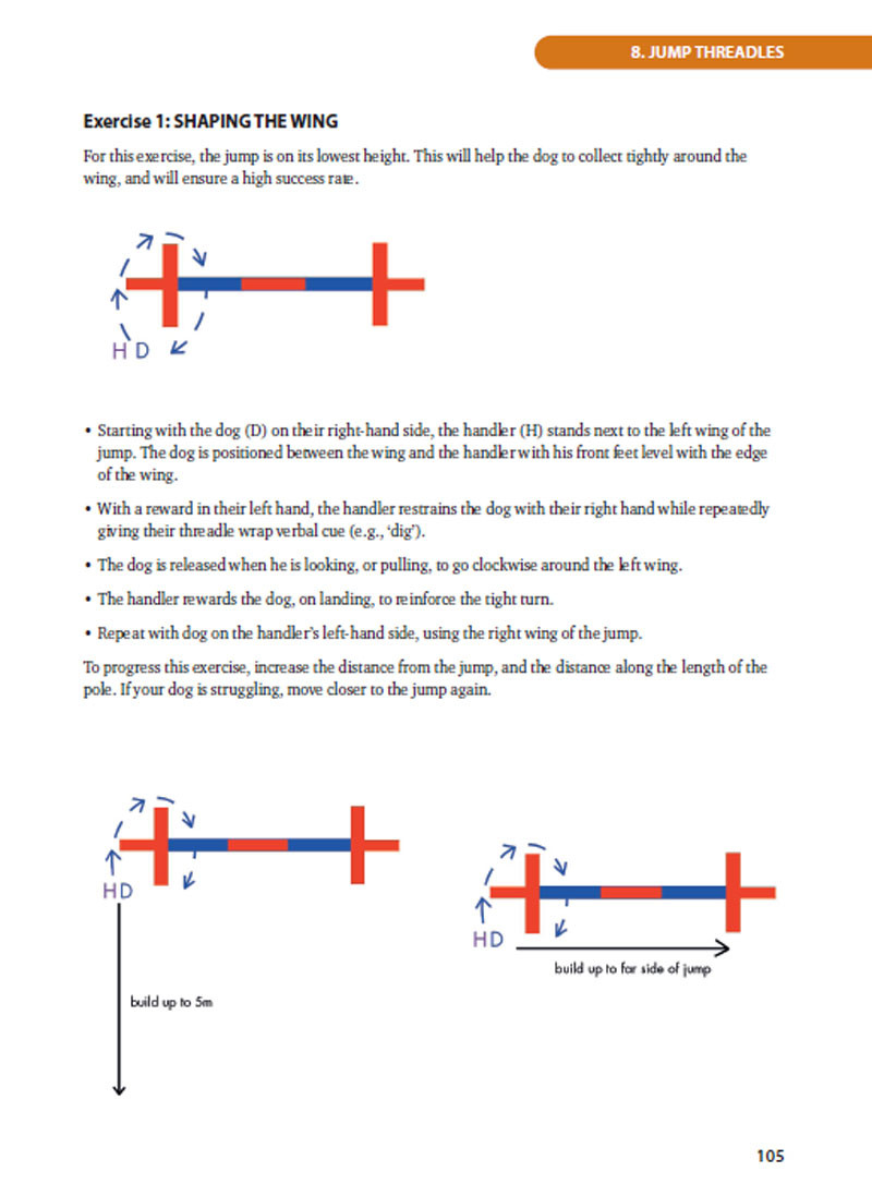 Agility Dot Drills