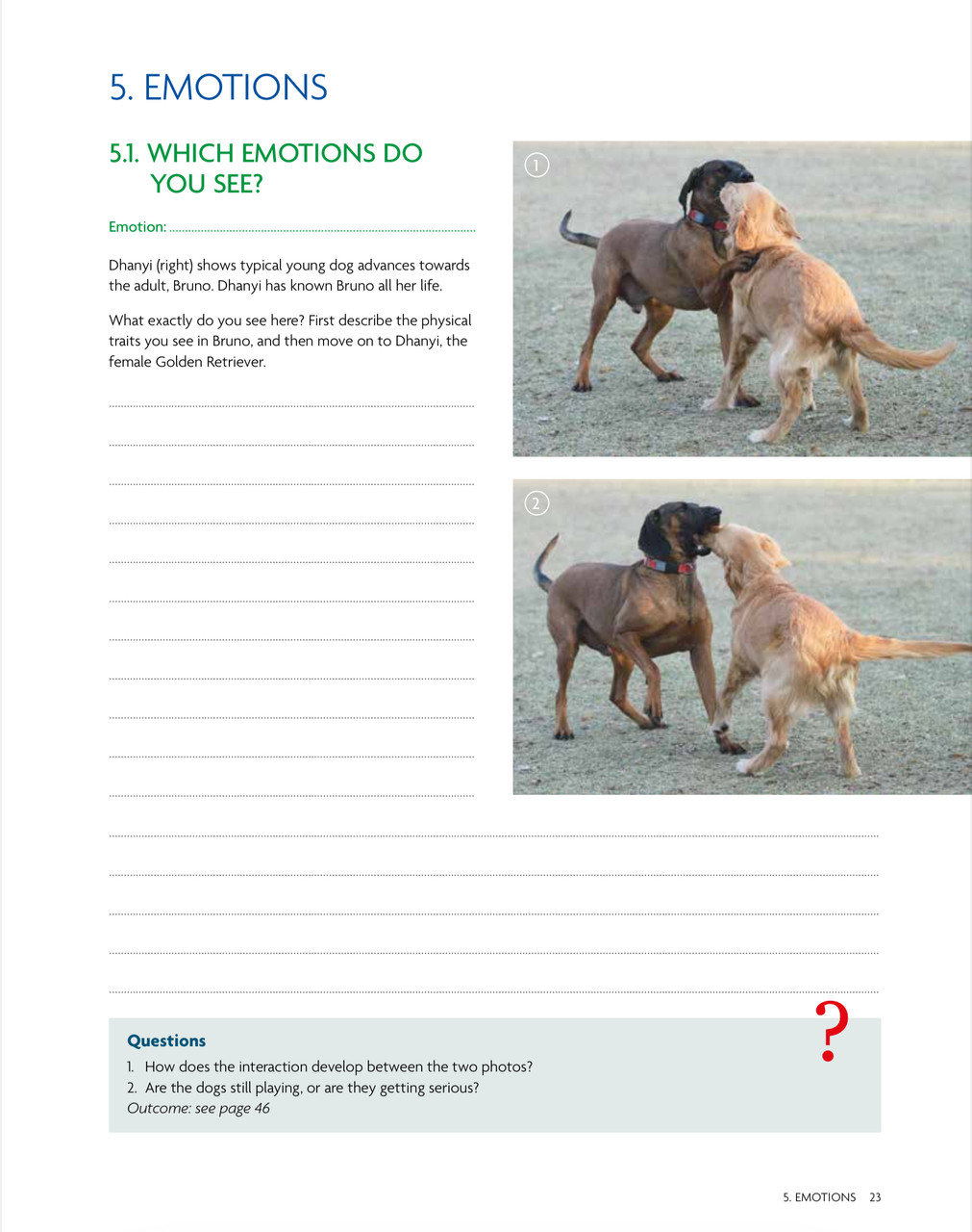 Dogs in Translation – A Unique Journey of Observation and Interpretation