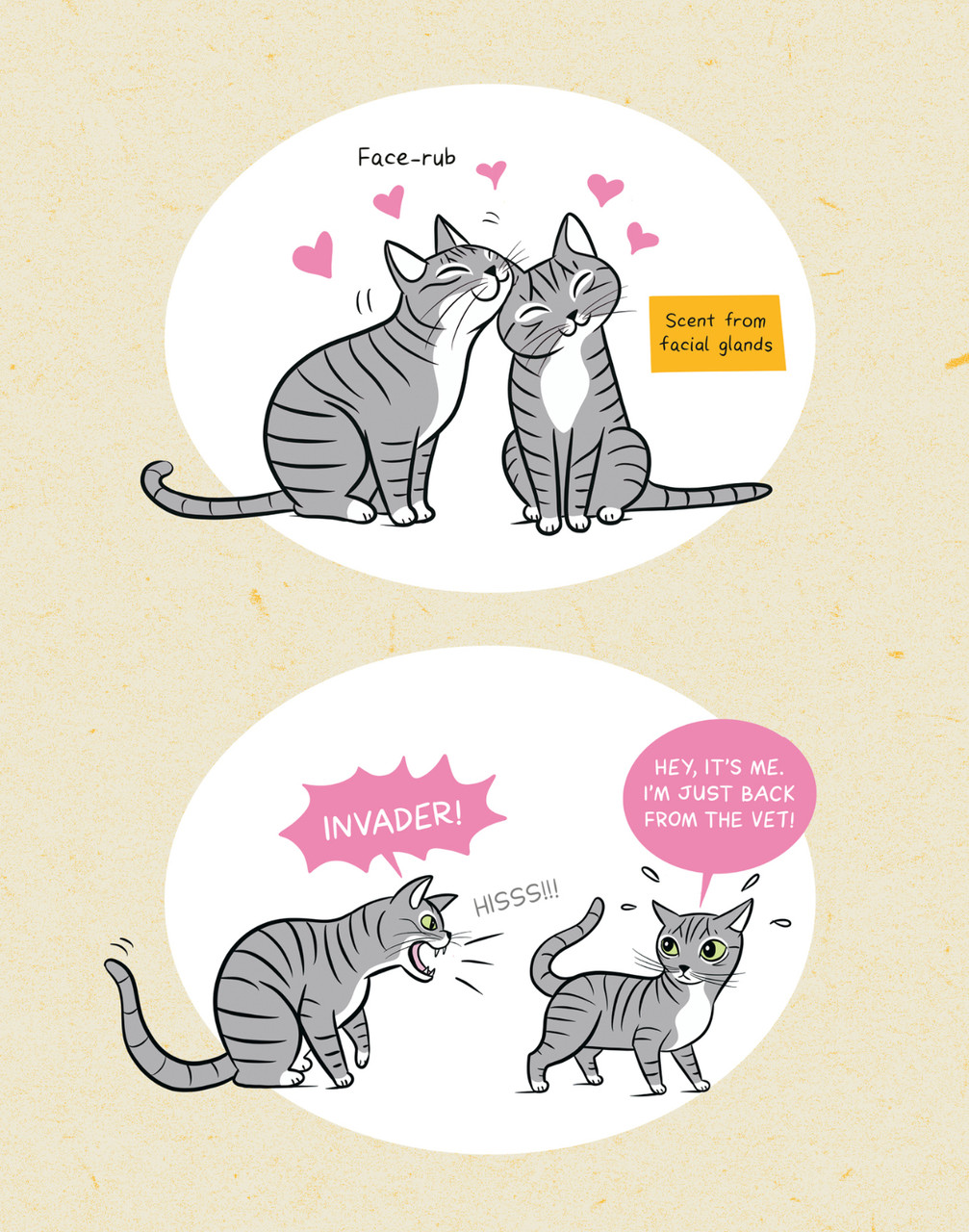 Kitty Language: An Illustrated Guide to Understanding Your Cat