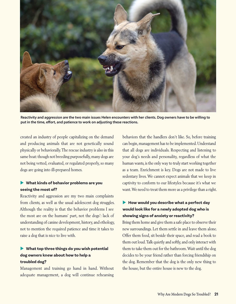 Positive Training for Aggressive and Reactive Dogs: Proven Techniques ...