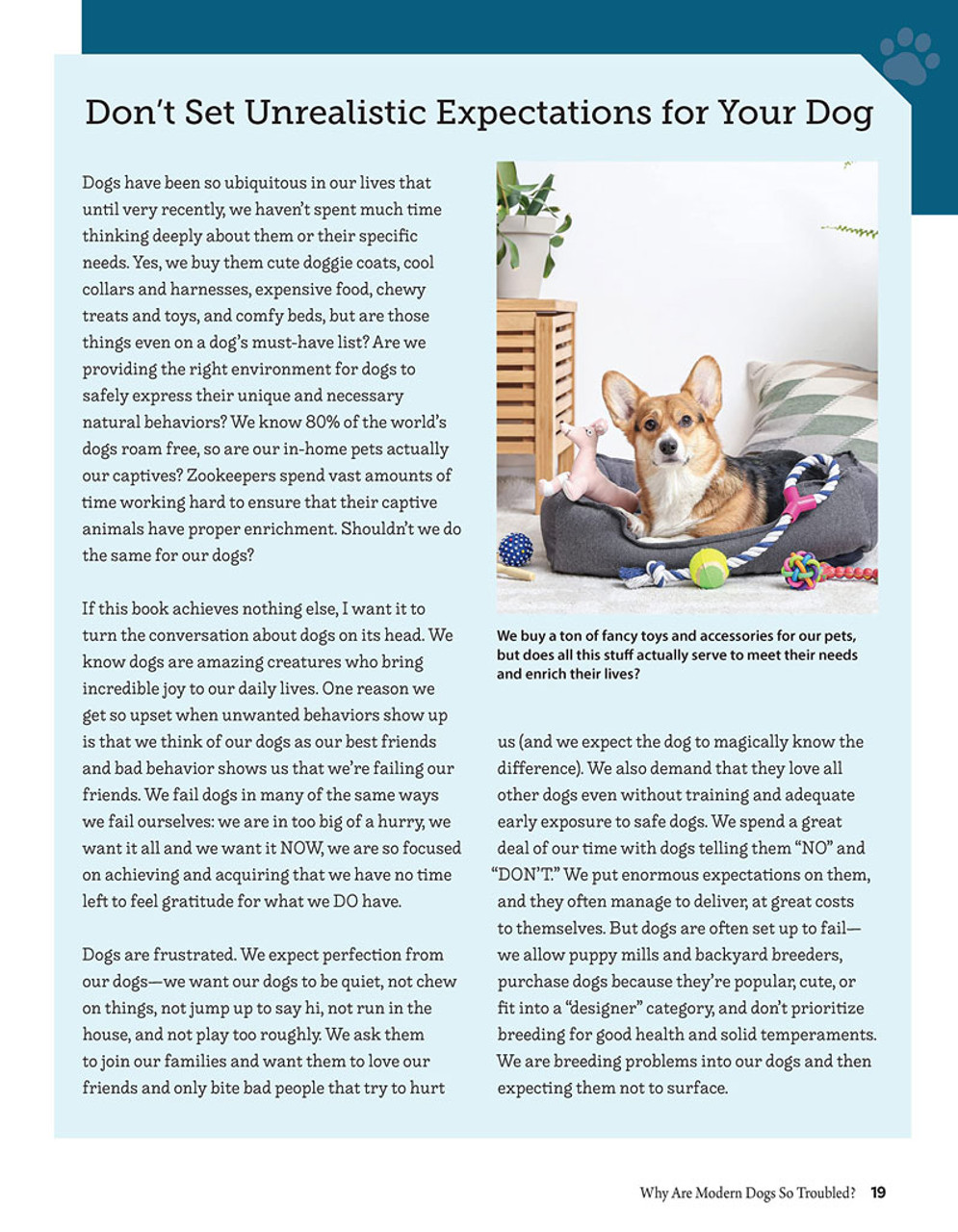 Positive Training for Aggressive and Reactive Dogs: Proven Techniques ...