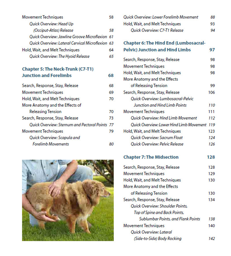 Beyond Dog Massage: A Breakthrough Method for Relieving Soreness and ...