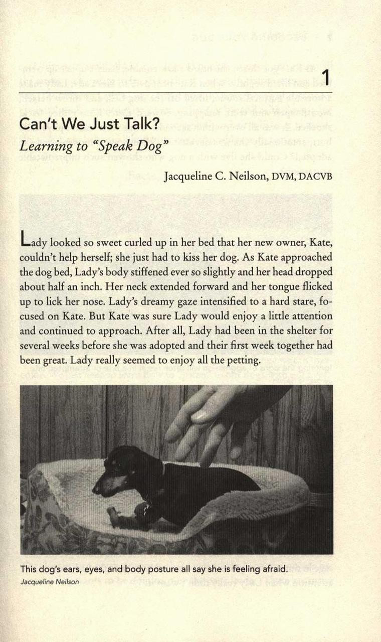 Decoding Your Dog: The Ultimate Experts Explain Common Dog Behaviors ...