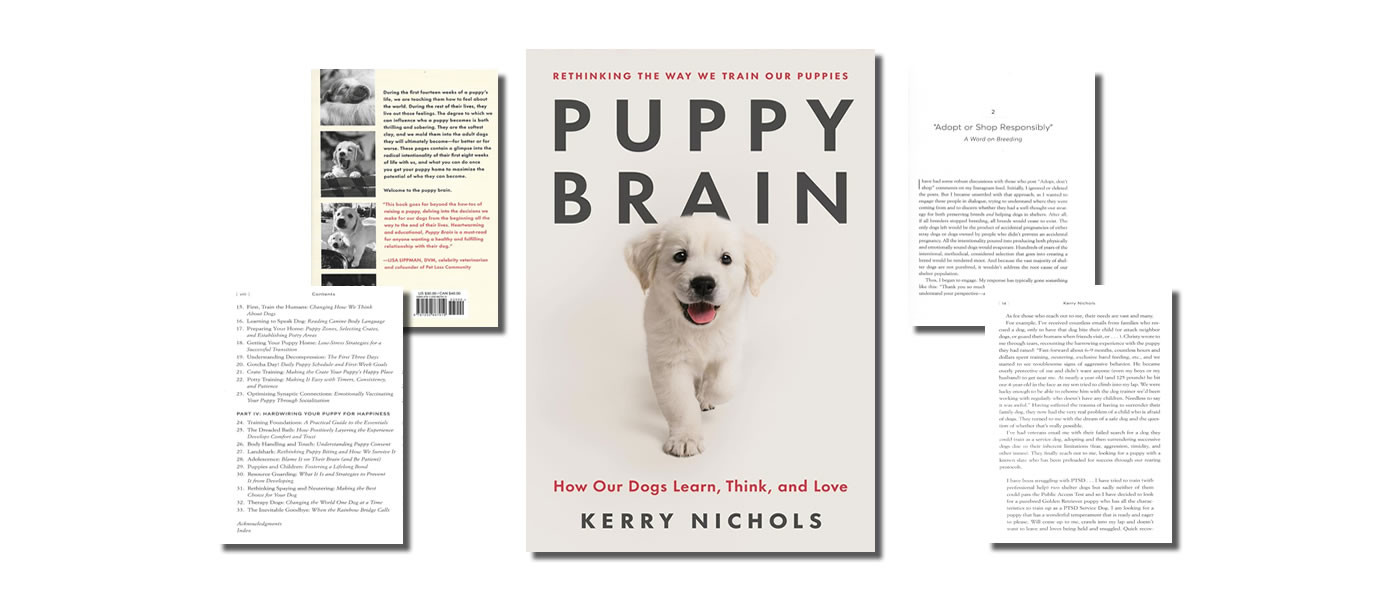 Dogwise.com - The Best Books, DVDs, and eBooks on Dogs