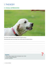 Dogs in Translation – A Unique Journey of Observation and Interpretation