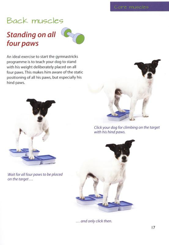 Gymnastricks: Targeted Muscle Training for Dogs - Dogwise