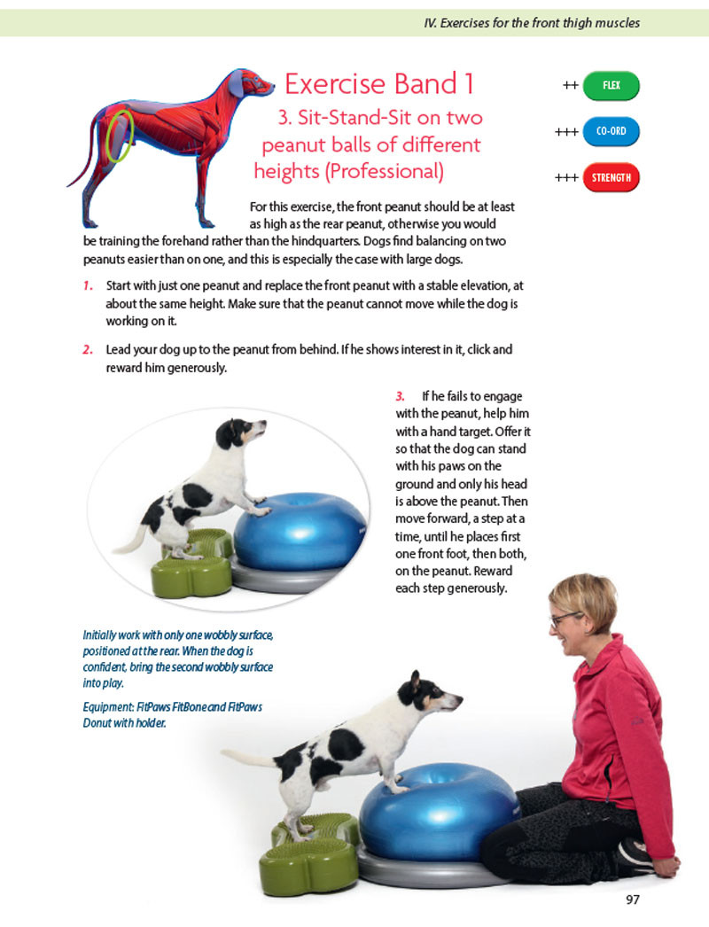 The Workout Book for Dogs - A Complete Guide to Canine Fitness